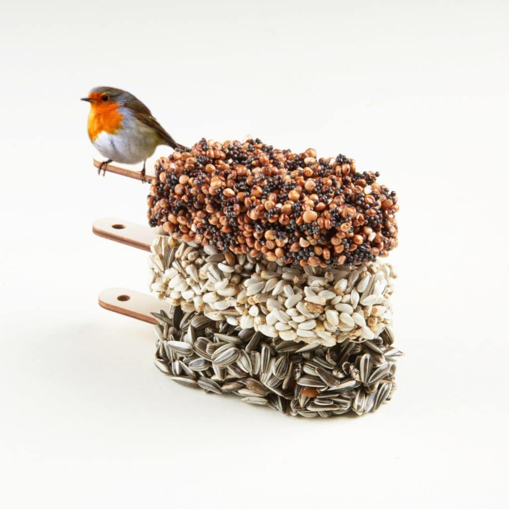 Desserts For Birds - Yipp & Co